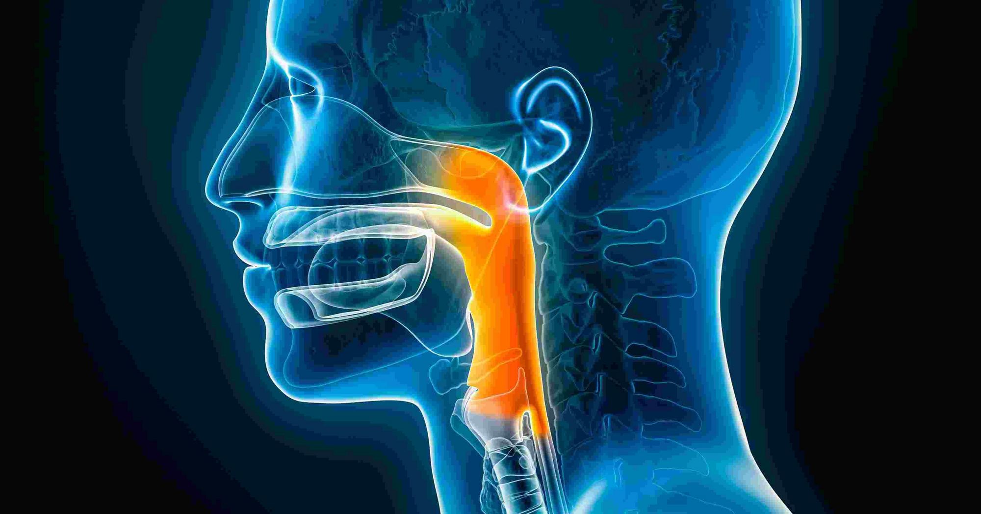 Dreitägiger Basiskurs zur Erlangung des FEES-Zertifikats - Mauritius ...